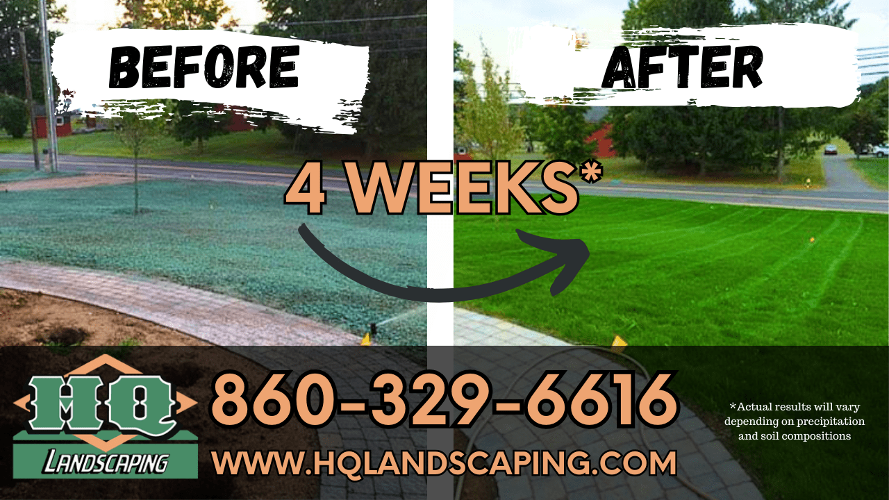 Hydroseeding Success in Central Connecticut – Guide - HQ Landscaping LLC
