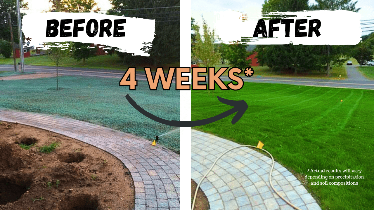 Hydroseeding, Sod, or Traditional Seeding? - HQ Landscaping LLC